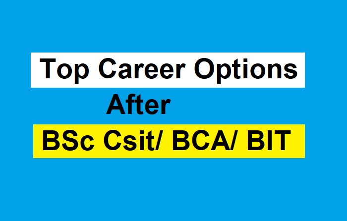 Top Career Options After BSc CSIT You Should Know - Exam Sanjal