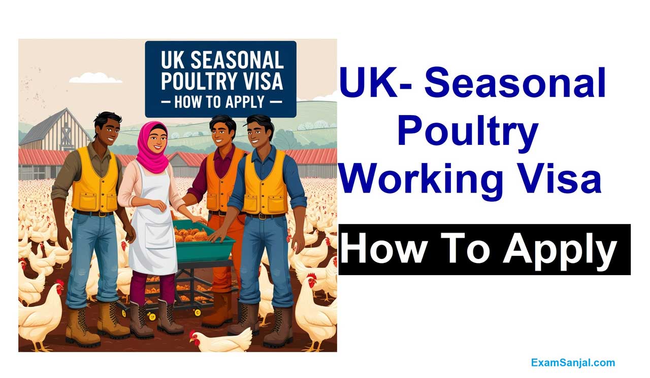 UK Seasonal Poultry Visa: How to Apply for the Poultry Visa UK